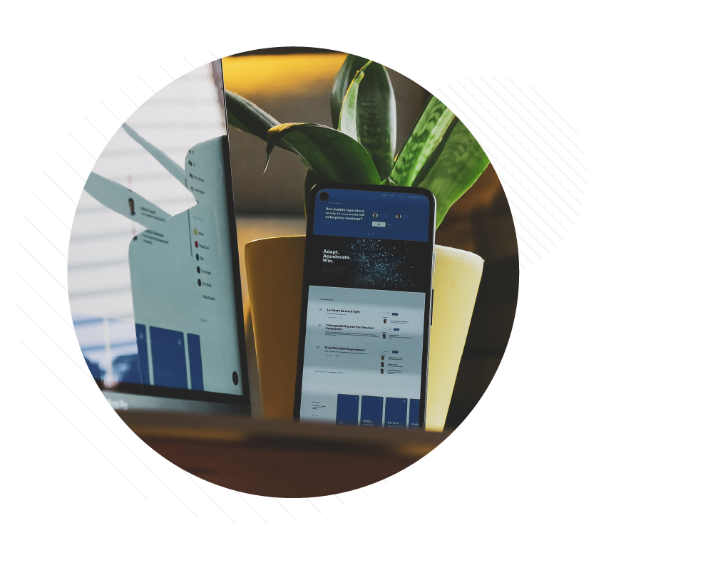 CSA Star Programs | Schellman