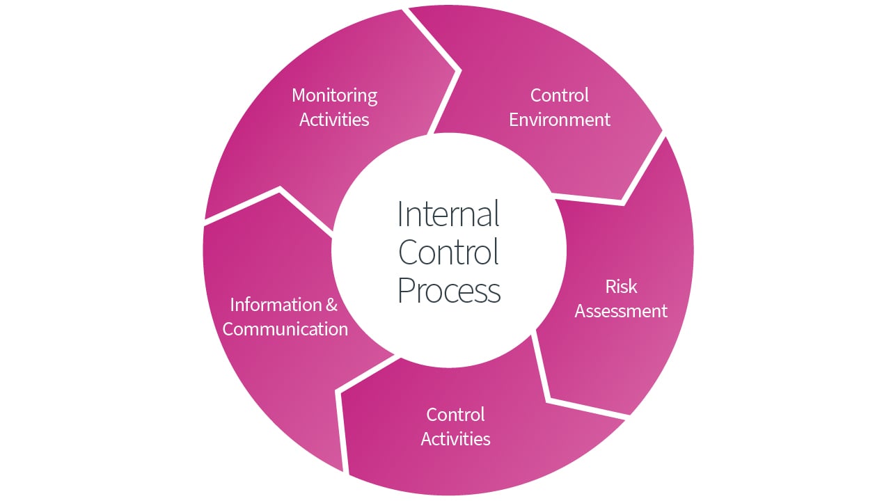 Which is Better: Automatic or Manual Internal Controls? | Schellman