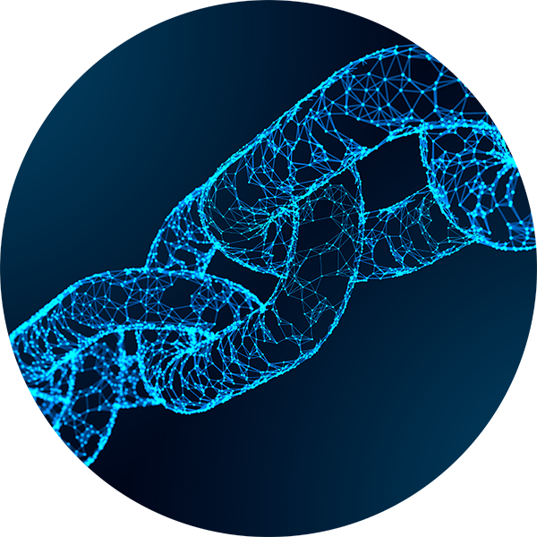 Crypto and Digital Trust Services | Schellman