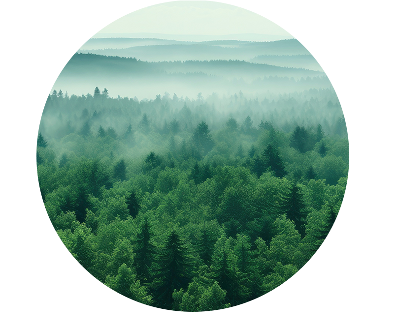 GHG Verification and Assurance Services | Schellman GHG Verification and Assurance Services | Schellman